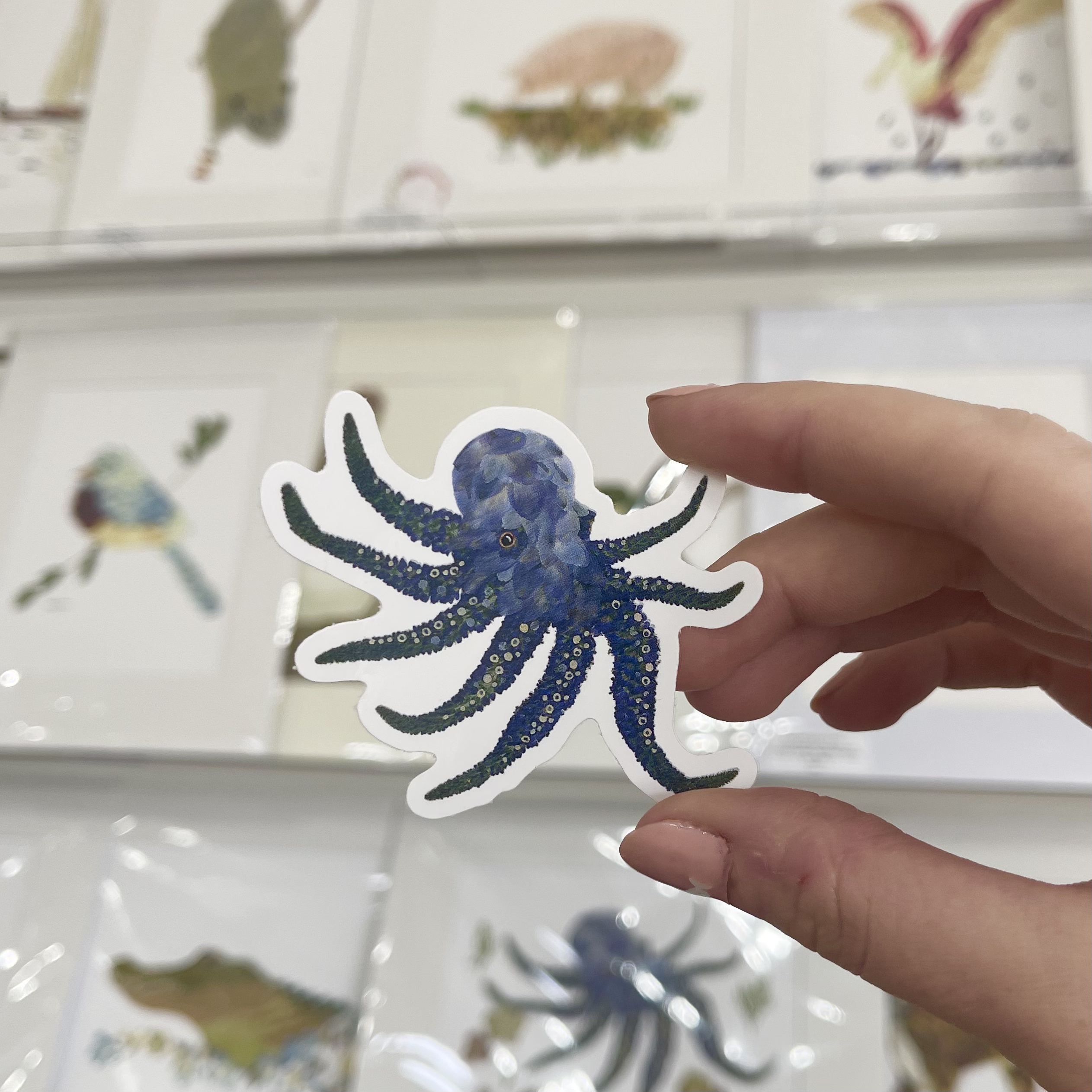 Octopus Sticker