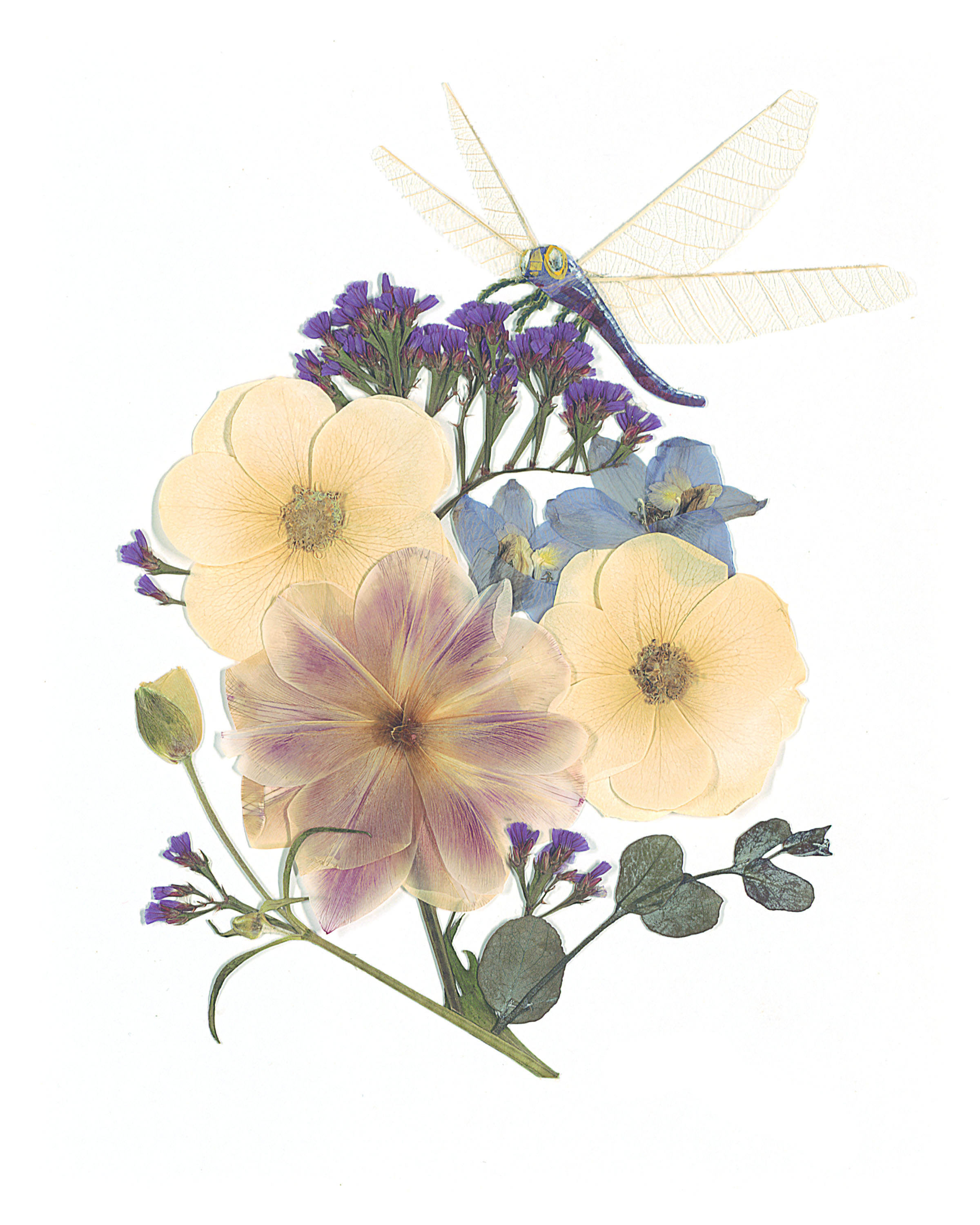 Dragonfly – Limited Edition Print